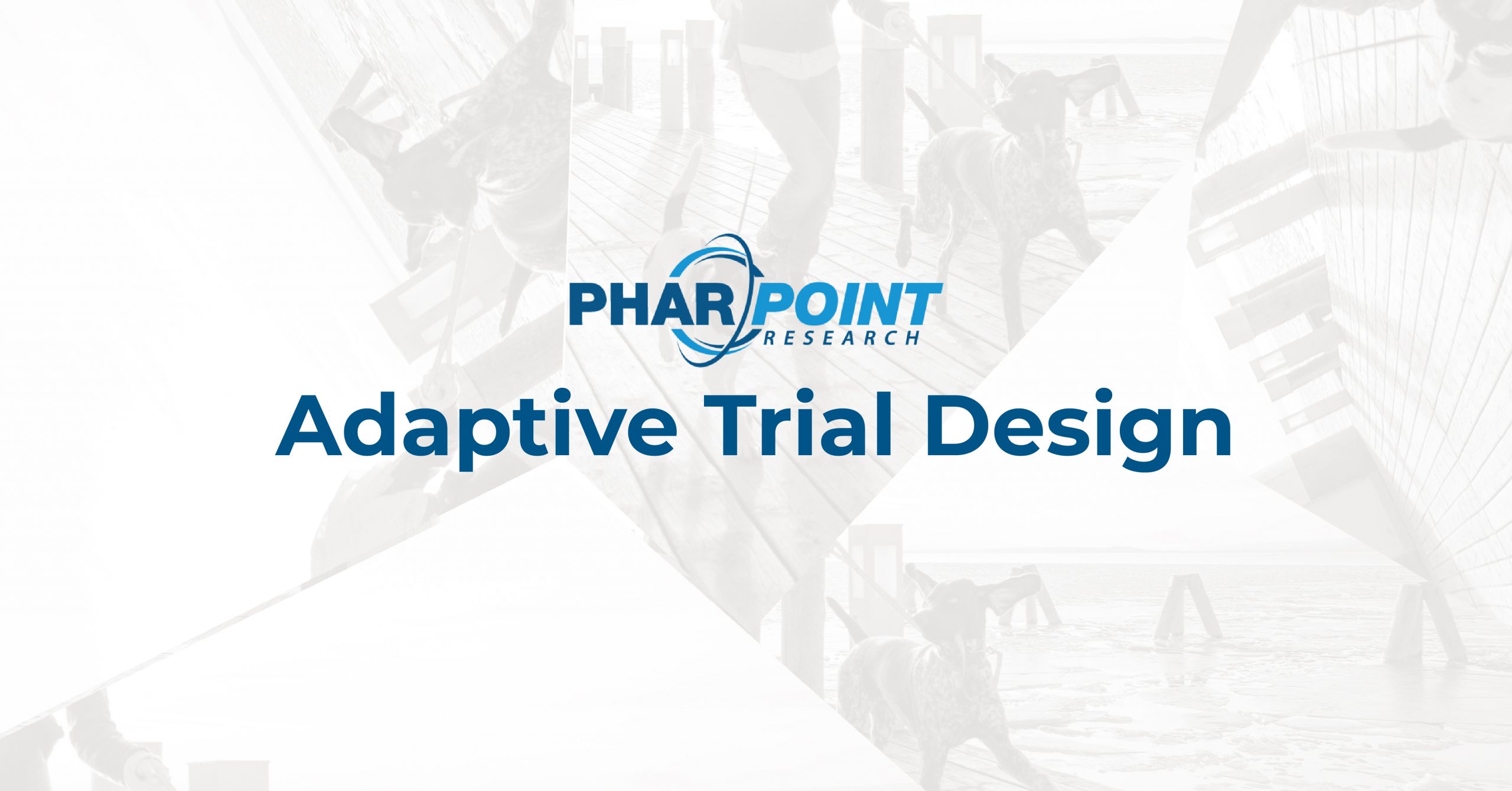 Adaptive Trial Design and the CRO Landscape | PharPoint Research